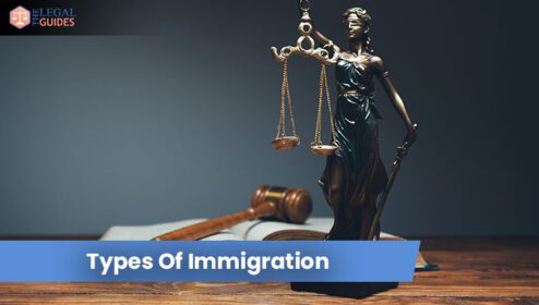 What Are Immigration Laws - A Complete Guide of 2025