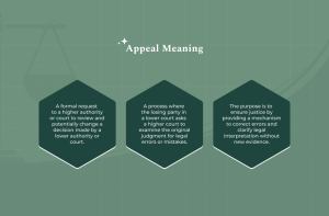 What Is An Appeal | Definition & Meaning